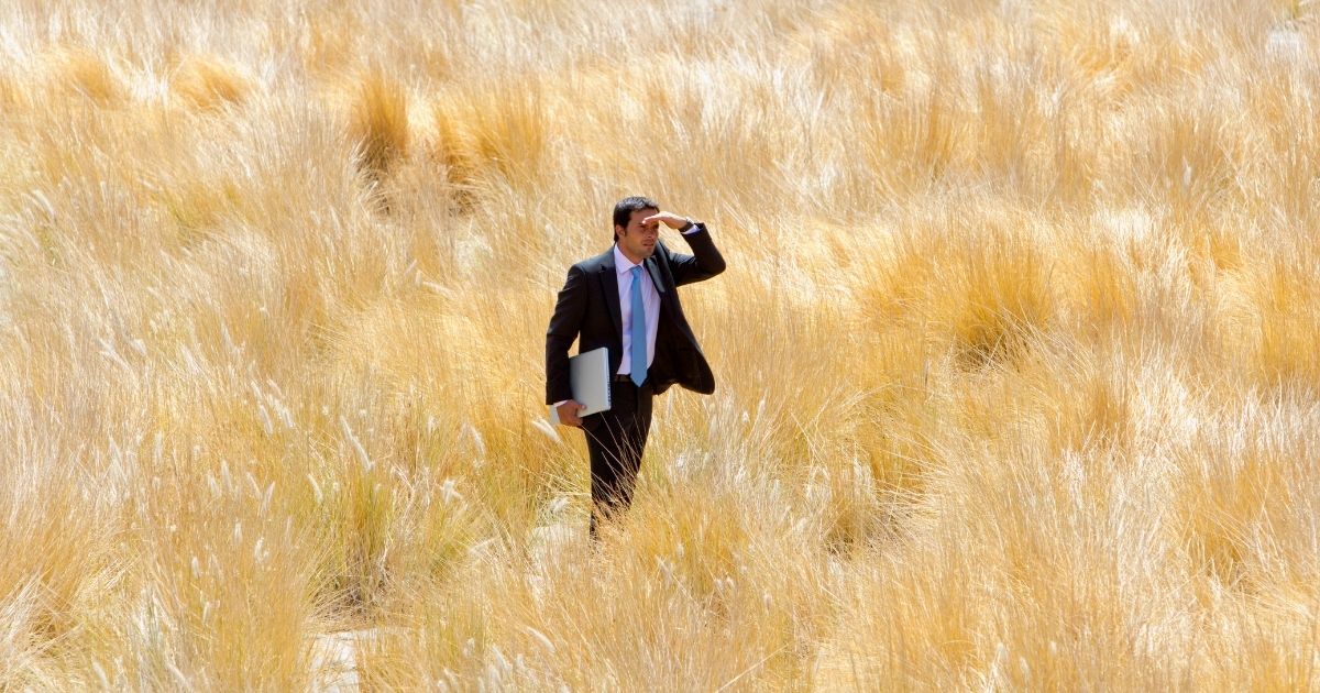 Devocional #8: Una búsqueda incesante